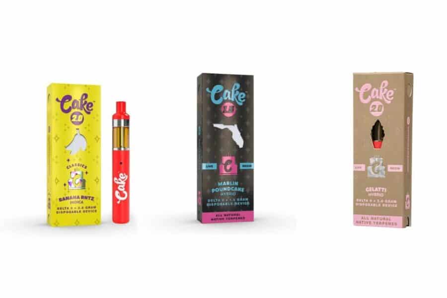 Why is My Cake Disposable Not Charging: Issues & Solutions