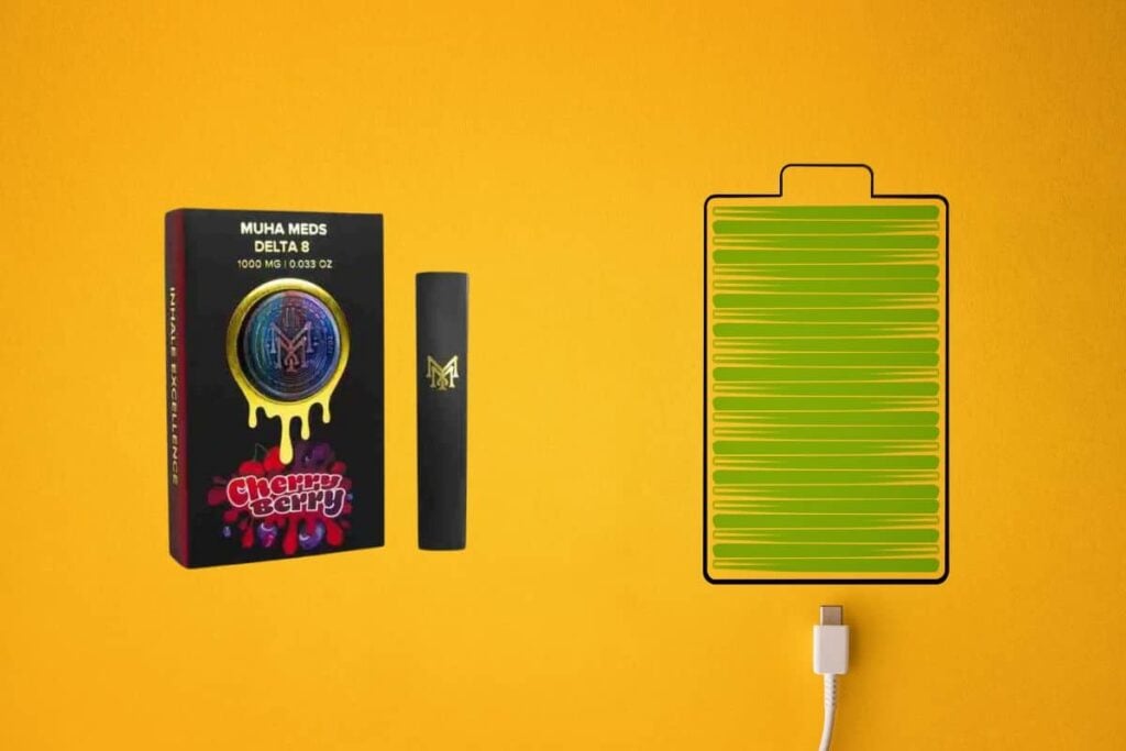 How to Charge Muha Meds Disposable: A Quick Guide